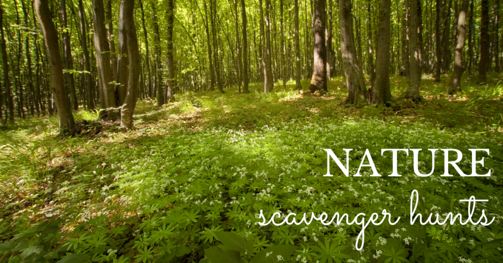 25 Nifty Nature Scavenger Hunts for Kids of All Ages