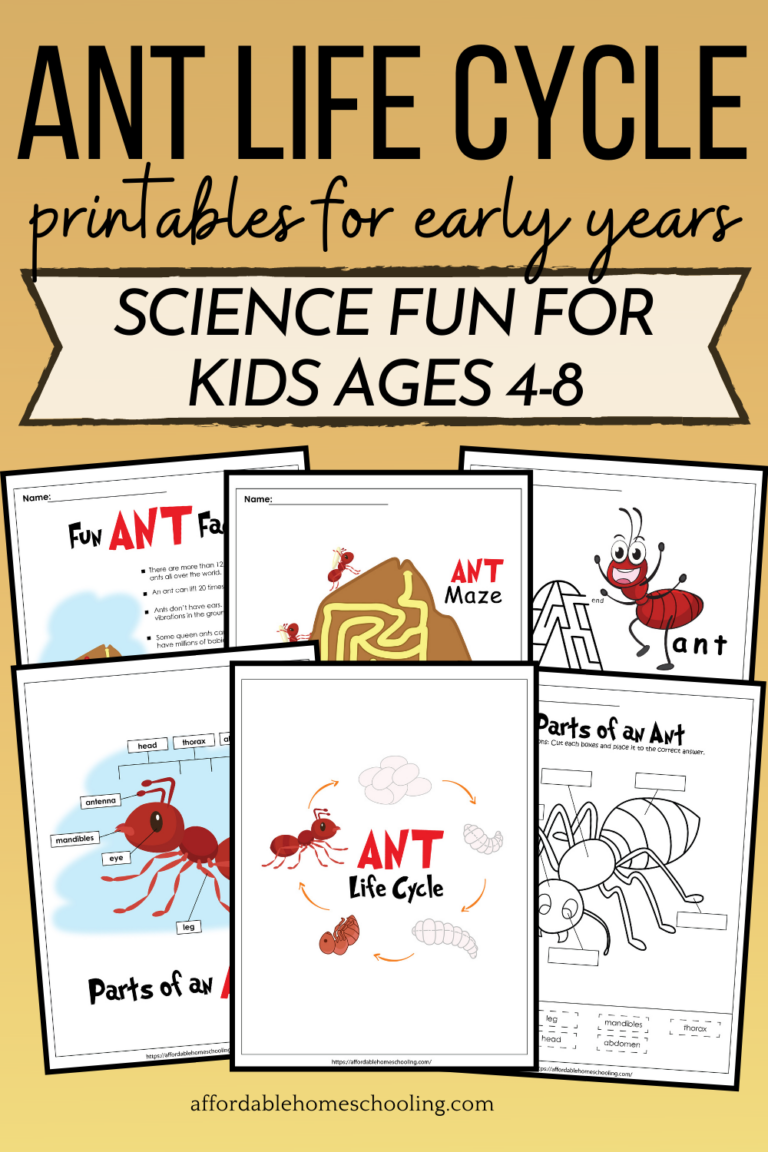 Free Busy Bee Printables for Young Learners