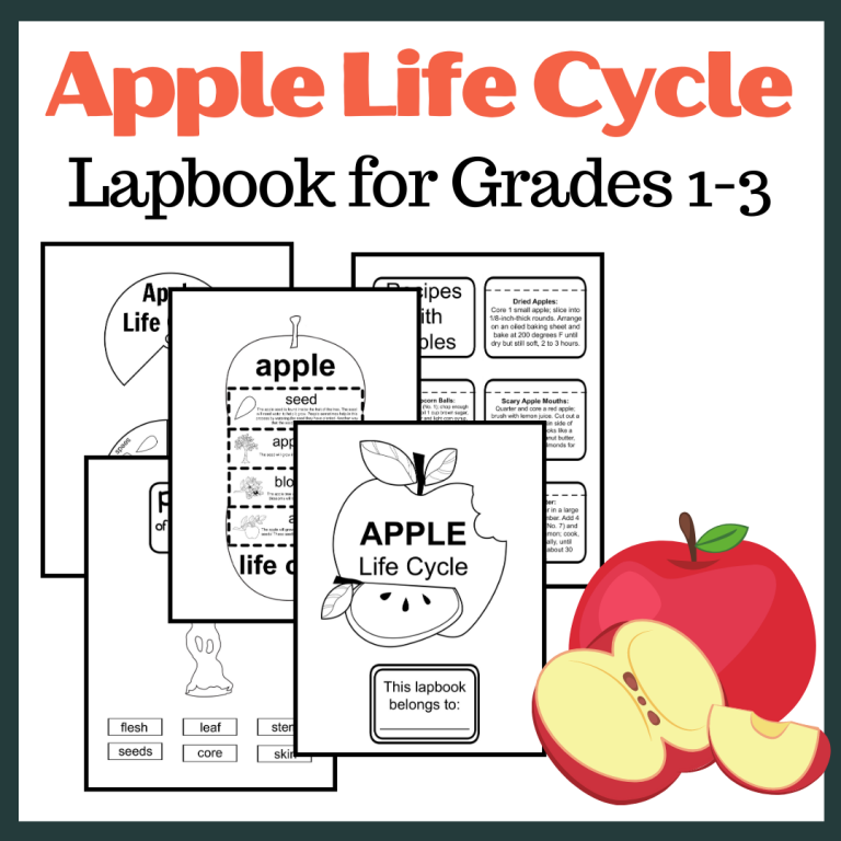 Life Cycle of an Apple Lapbook - Affordable Homeschooling