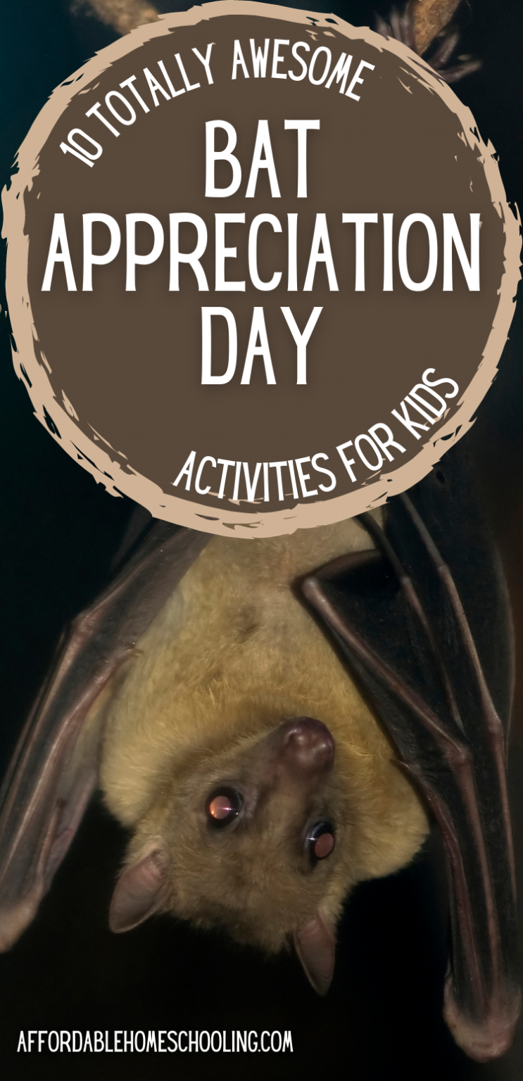 15 Awesome Bat Appreciation Day Activities for Kids