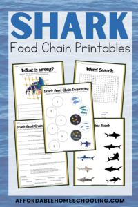 Shark Food Chain Printables for Elementary Students