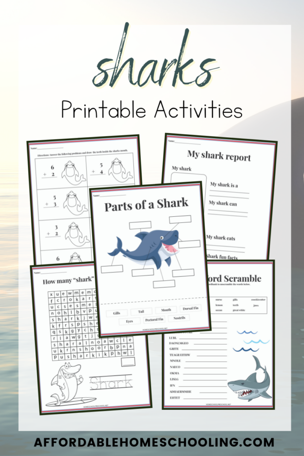 Shark STEM Activities for Kids