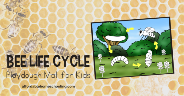 Free Printable Bee Life Cycle Playdough Mat for Kids