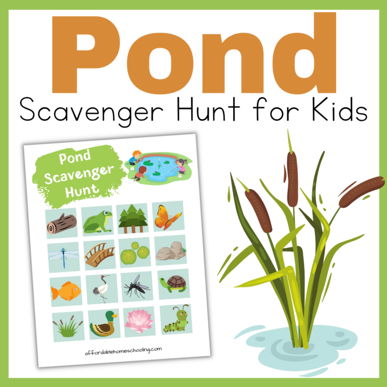 Free Printable Pond Scavenger Hunt for Kids