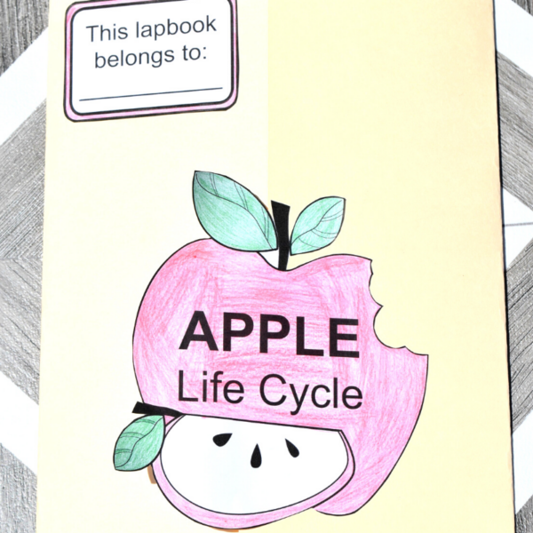 Printable Life Cycle of an Apple Lapbook for Kids