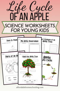 Free Printable Apple Life Cycle Worksheets for Kids