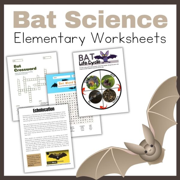 Printable Bat Science Activities for Elementary Students