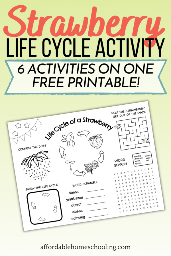 Free Printable Pete the Cat at the Beach Worksheets
