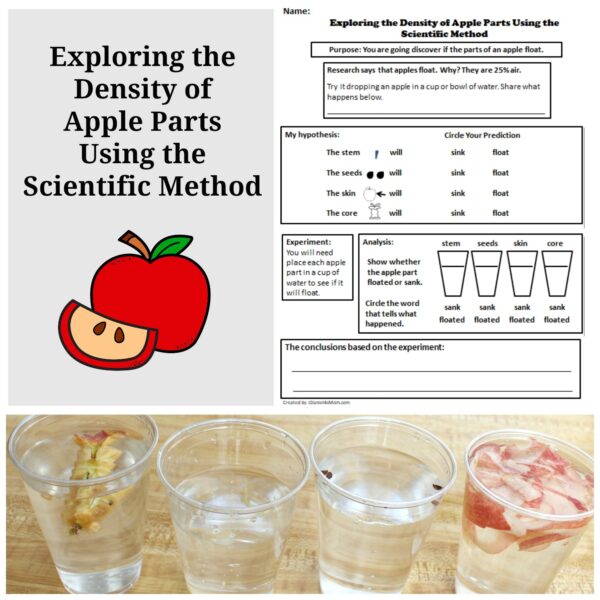 Apple Science Experiments for Autumn Homeschool Plans
