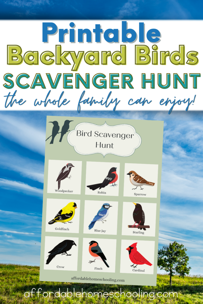 Free Printable Bird Scavenger Hunt for Kids
