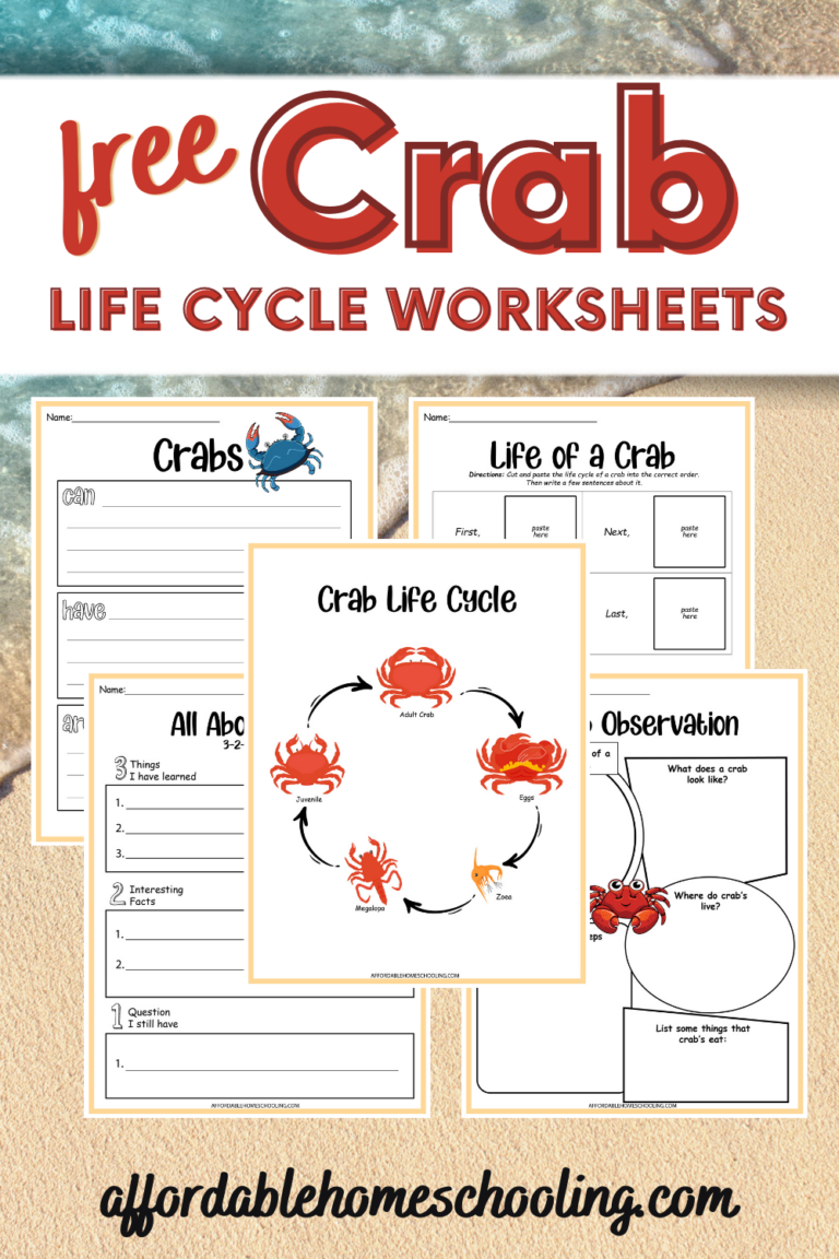 Free Printable Crab Life Cycle Worksheets for Kids