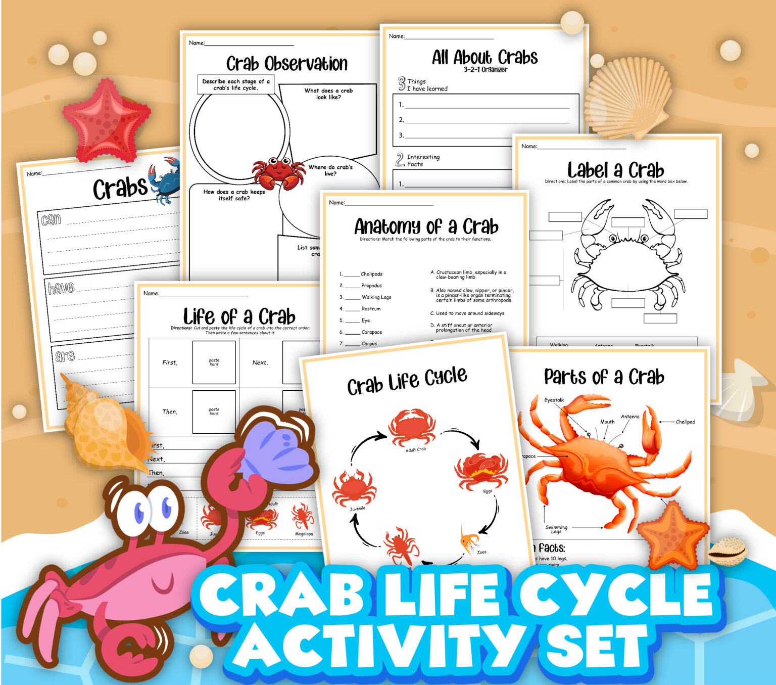 Free Printable Crab Life Cycle Worksheets for Kids