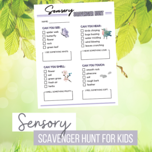 Free Printable Sensory Nature Scavenger Hunt for Kids