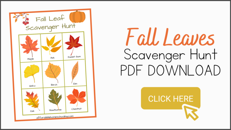 Free Printable Fall Leaf Scavenger Hunt for Kids