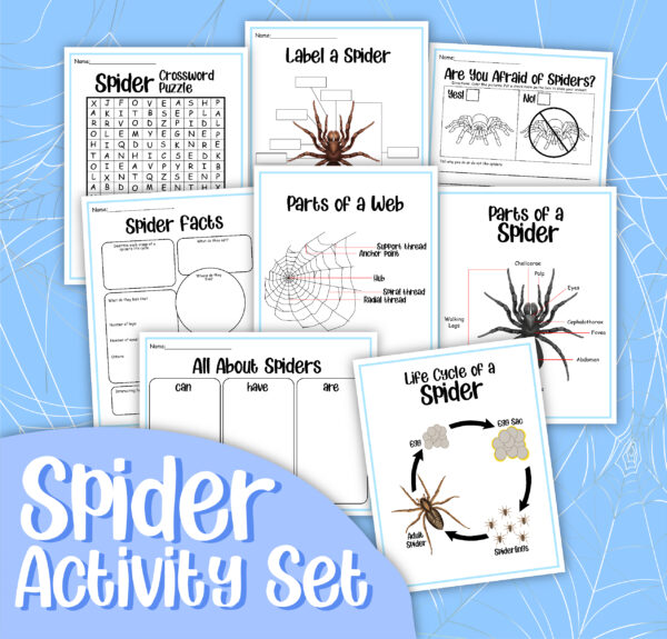 Printable Spider Science Activities for Elementary Grades