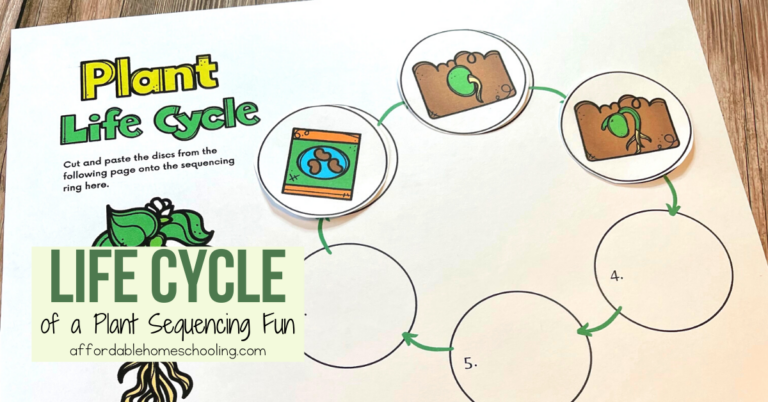 Free Life Cycle of a Plant Cut and Paste Worksheet