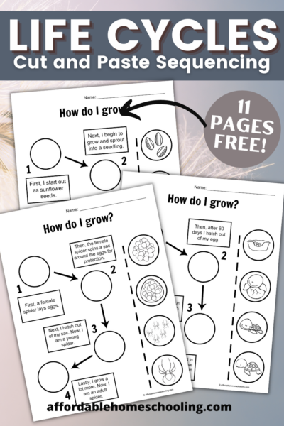 Free Printable Life Cycle Cut and Paste Worksheets