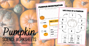 Free Printable Pumpkin Science Worksheets for Kids
