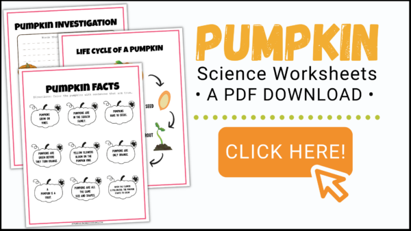 Free Printable Pumpkin Science Worksheets for Kids