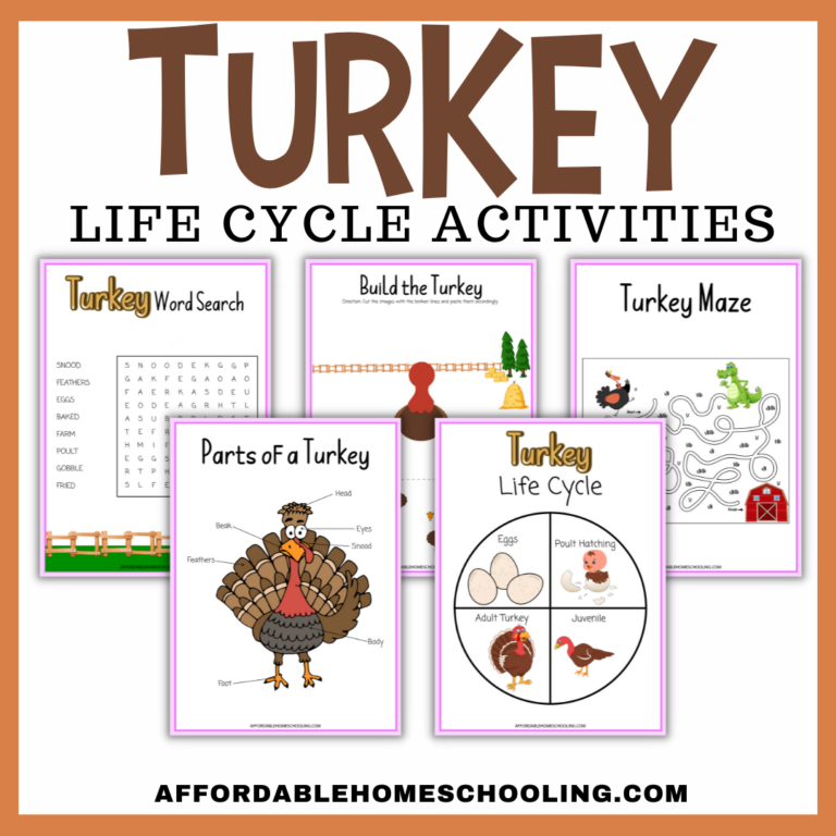 Printable Thanksgiving Turkey Worksheets for Kids