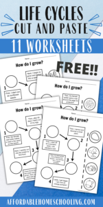 Free Printable Life Cycle Cut and Paste Worksheets