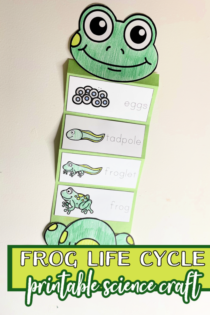Frog Life Cycle Craft for Kids Free Template