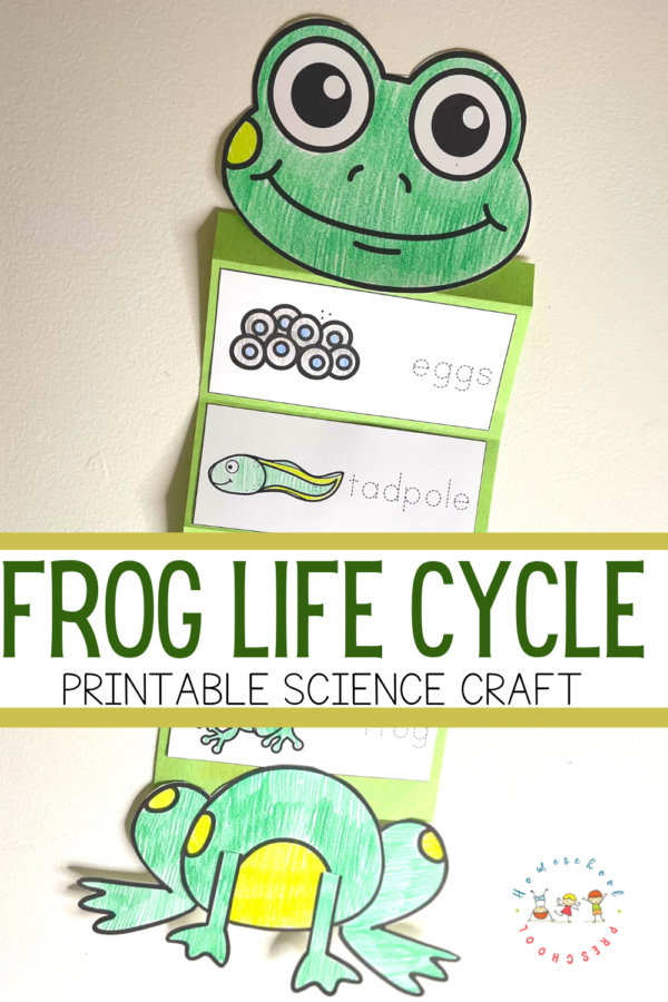 Frog Life Cycle Craft for Kids Free Template