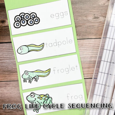 Frog Life Cycle Craft for Kids Free Template