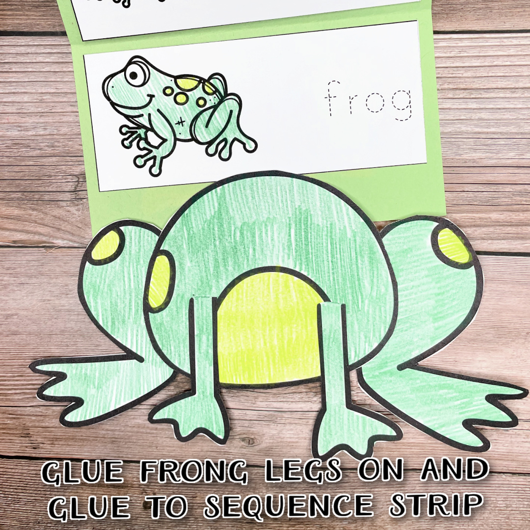 Frog Life Cycle Craft for Kids Free Template