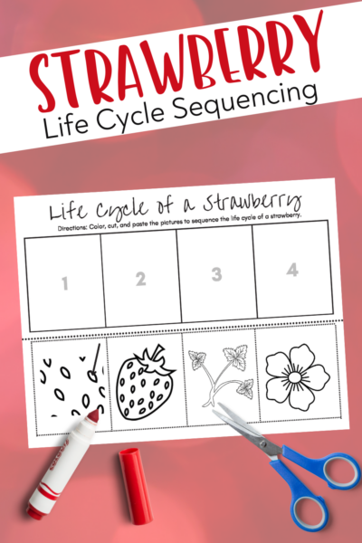 Free Printable Strawberry Life Cycle Worksheet