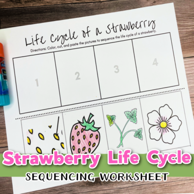 Free Printable Strawberry Life Cycle Worksheet
