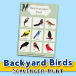 Free Printable Bird Scavenger Hunt for Kids