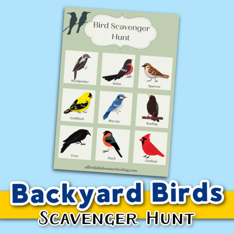 Free Printable Bird Scavenger Hunt for Kids