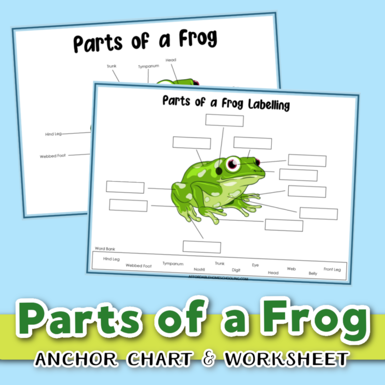 Free Printable Label a Frog Worksheet