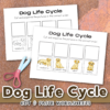 Free Printable Life Cycle of a Dog Worksheet