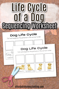 Free Printable Life Cycle of a Dog Worksheet