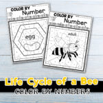 Life Cycle of a Bee Color by Number Worksheets