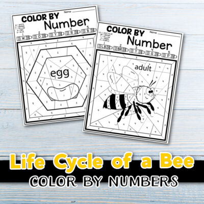 Life Cycle of a Bee Color by Number Worksheets