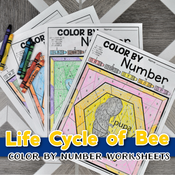 Life Cycle of a Bee Color by Number Worksheets