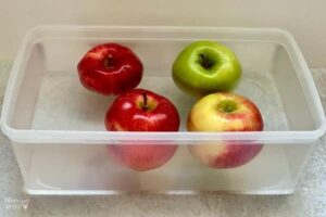 Fun Fall STEM Activities with Apples
