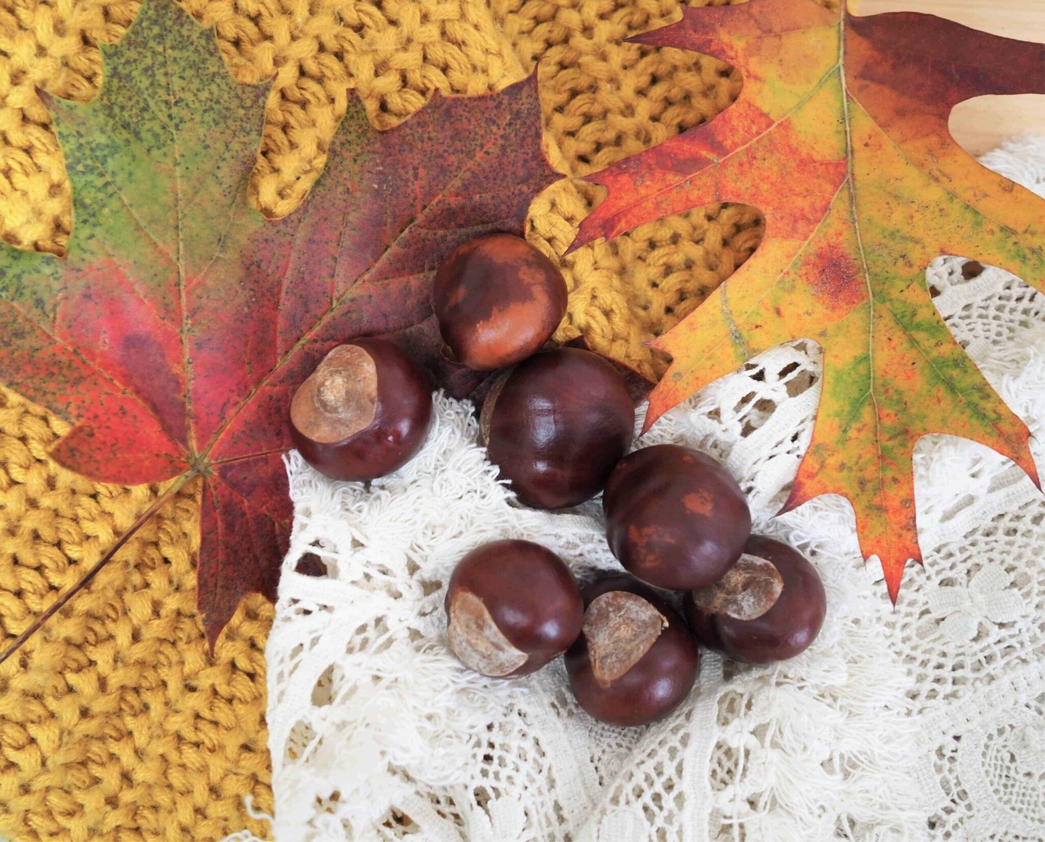 Fun Fall Nature Crafts for Kids!