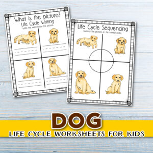 Printable The Life Cycle of a Dog Worksheets