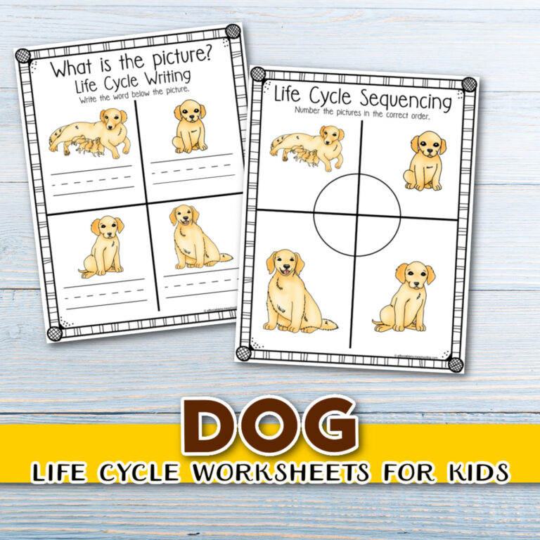 Printable The Life Cycle of a Dog Worksheets