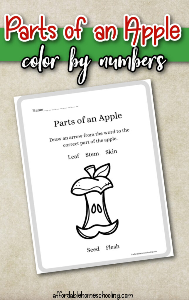 Free Printable Circle the Vowels Worksheet