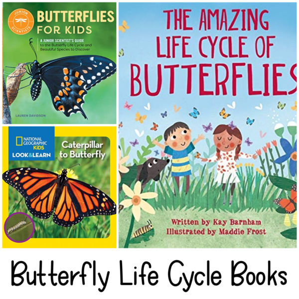 15 Engaging Butterfly Life Cycle Books for Kids