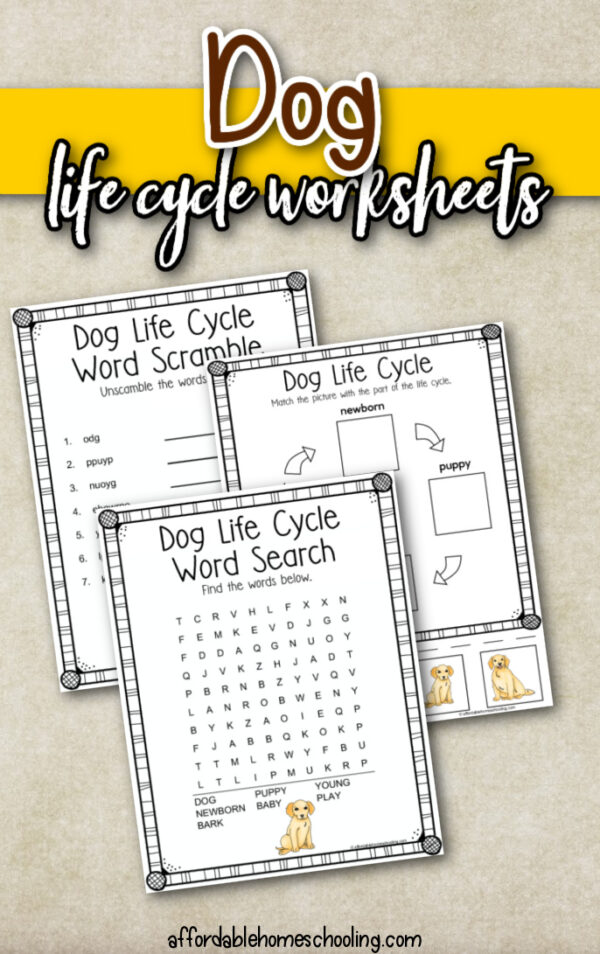 Printable The Life Cycle of a Dog Worksheets