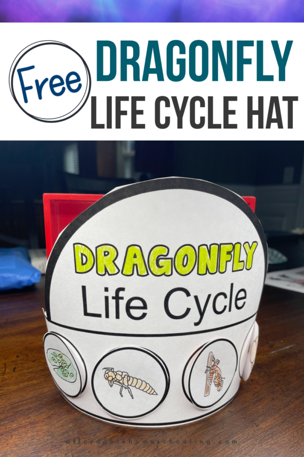 The Life Cycle of a Dragonfly Sequencing Hat