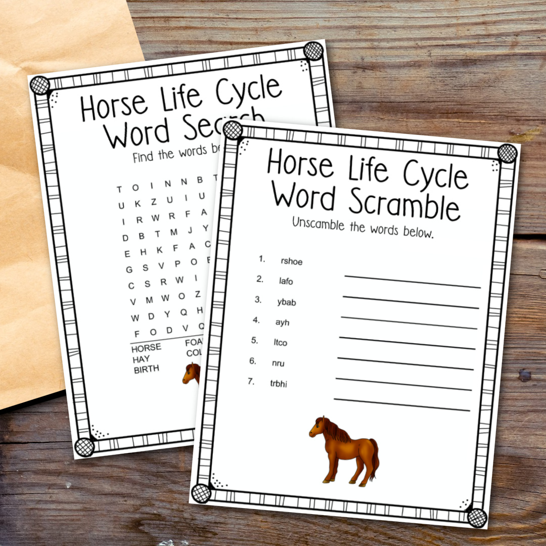 Free Printable Horse Life Cycle for Kids