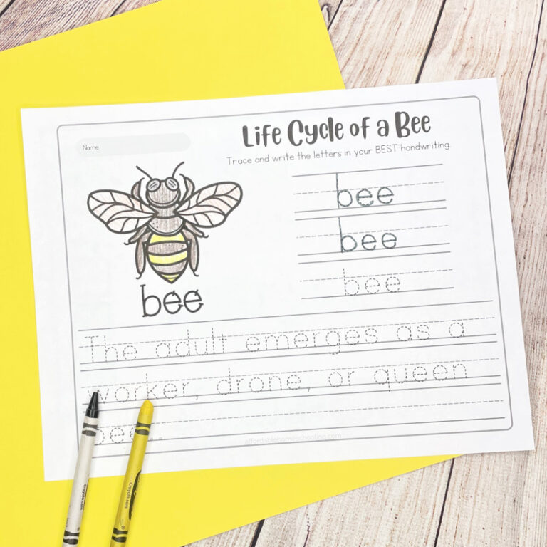Life Cycle of a Bee Worksheets - Affordable Homeschooling