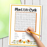 Free Printable Plant Life Cycle Word Search for Kids